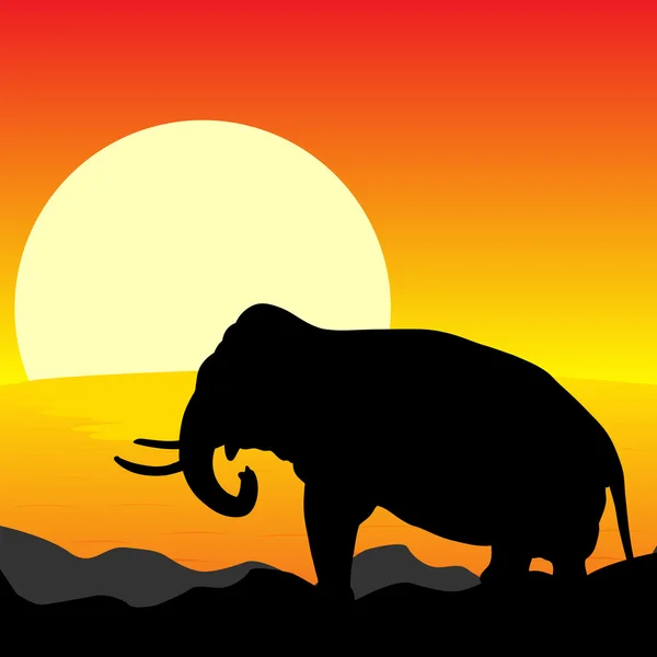 Africa sunset Vector Art Stock Images | Depositphotos