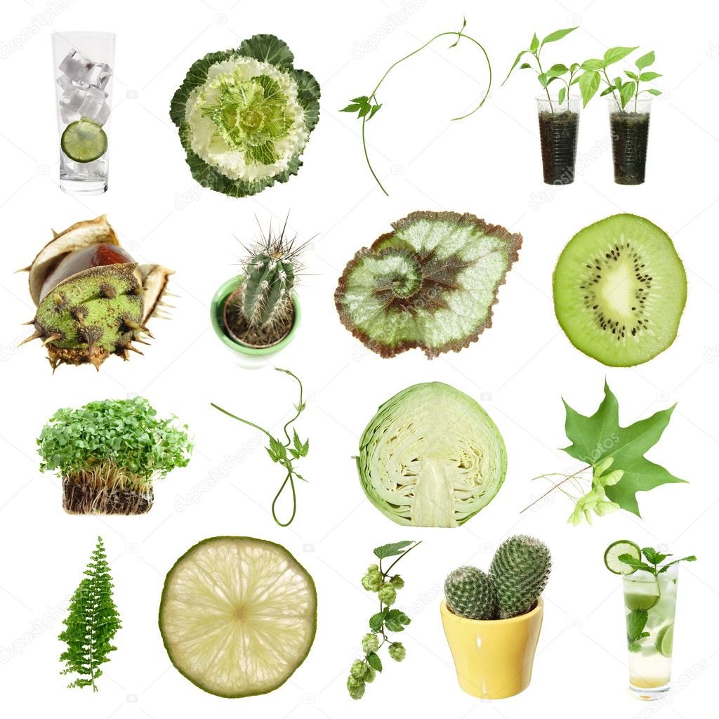 Green collection (green objects isolated on white) — Stock Photo ...