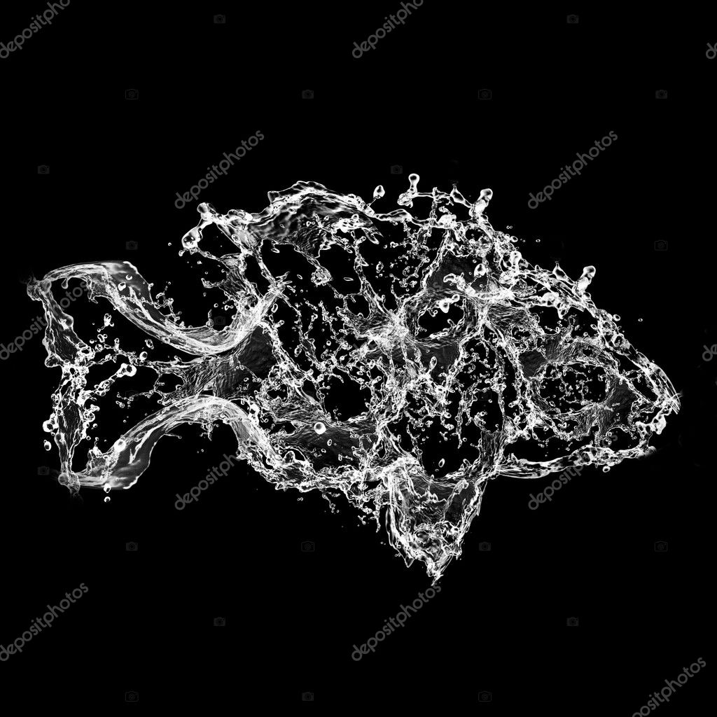FISH FROM WATER SPLASHES — Stock Photo © Westa #6323874