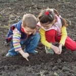 Two little children planting seeds on the field Stock Photo by ...