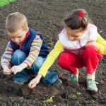 Two little children planting seeds on the field Stock Photo by ...