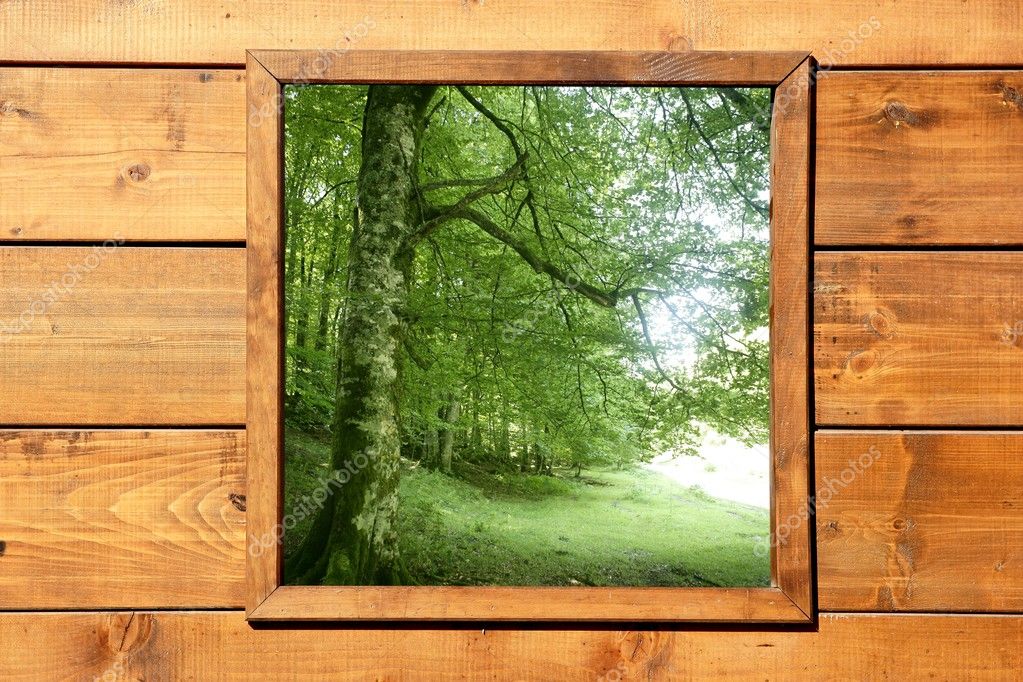 Wooden window jungle green forest view — Stock Photo © lunamarina #5504479