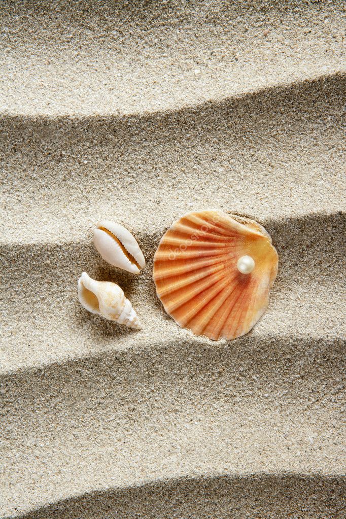 Beach sand pearl clam shell summer vacation — Stock Photo © lunamarina ...