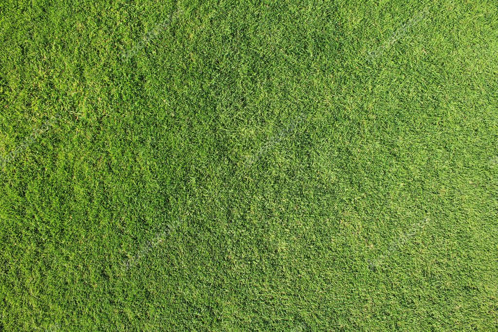 Grass texture Stock Photo by ©Thomaspajot 5627919