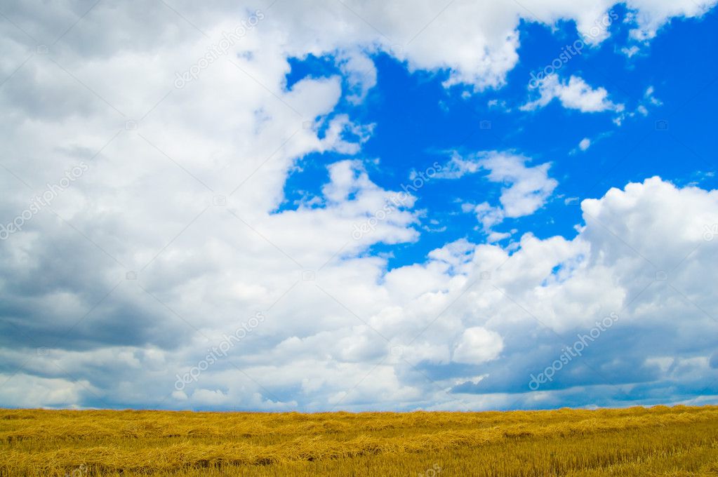 Blue sky with clouds Stock Photo by ©mycola_adams 5462181