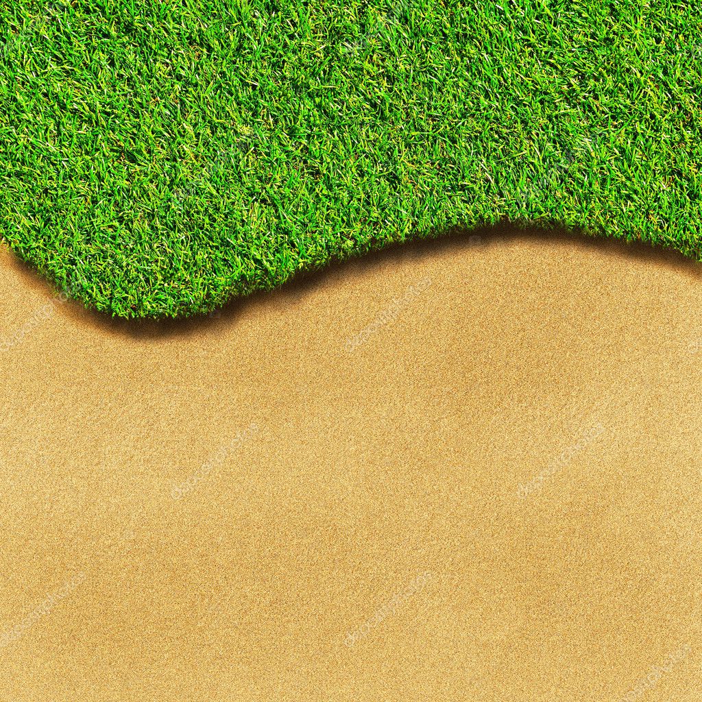 Green grass and sand — Stock Photo © shirophoto #5445277