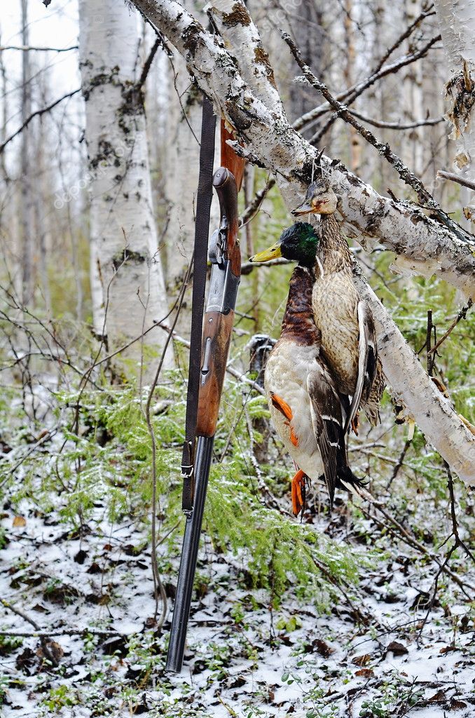 HUNTING Stock Photo by ©mr.trier 5673108