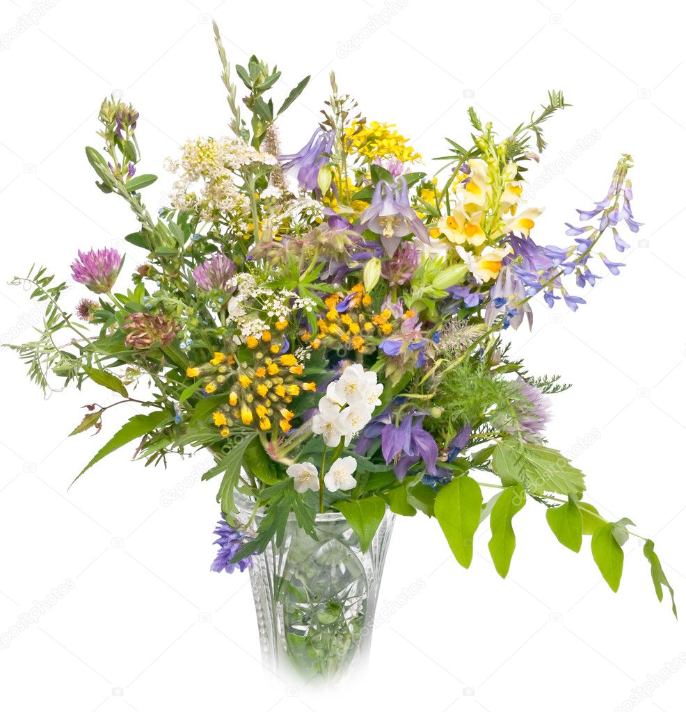 Bouquet of wild flowers isolated — Stock Photo © expert1973 #5840290