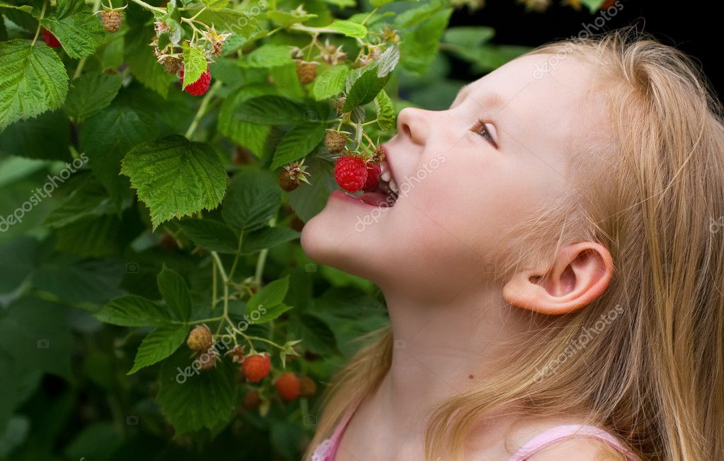 Eat Raspberries Everyday at Richard Harvey blog
