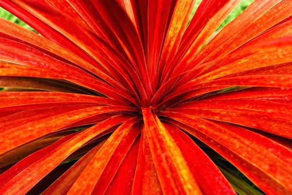 JANIFEST Portfolio: Stock Photos, Vectors, Video, Audio | Depositphotos