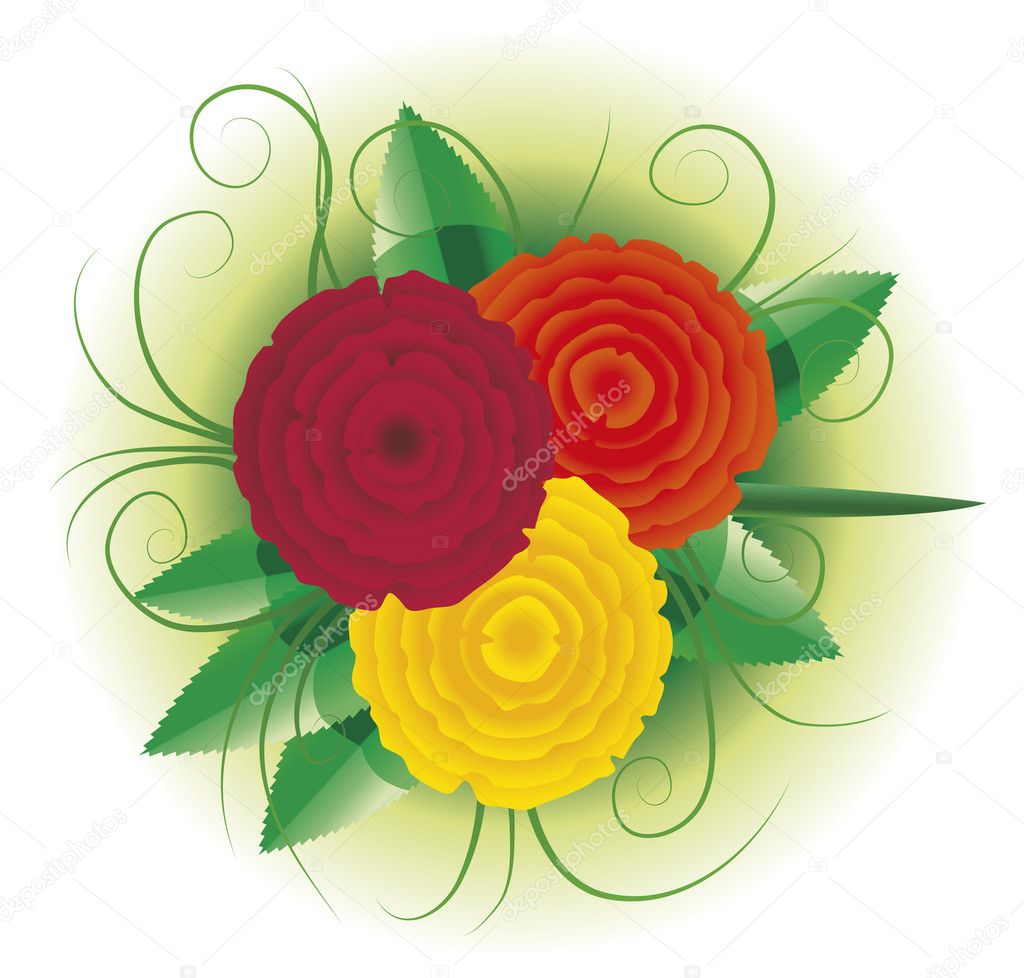 Three roses — Stock Vector © jet_spider #5847997