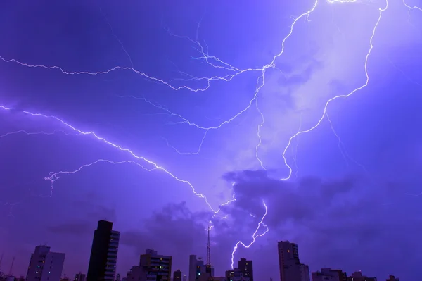 499 Purple thunderbolt Stock Photos, Images | Download Purple ...