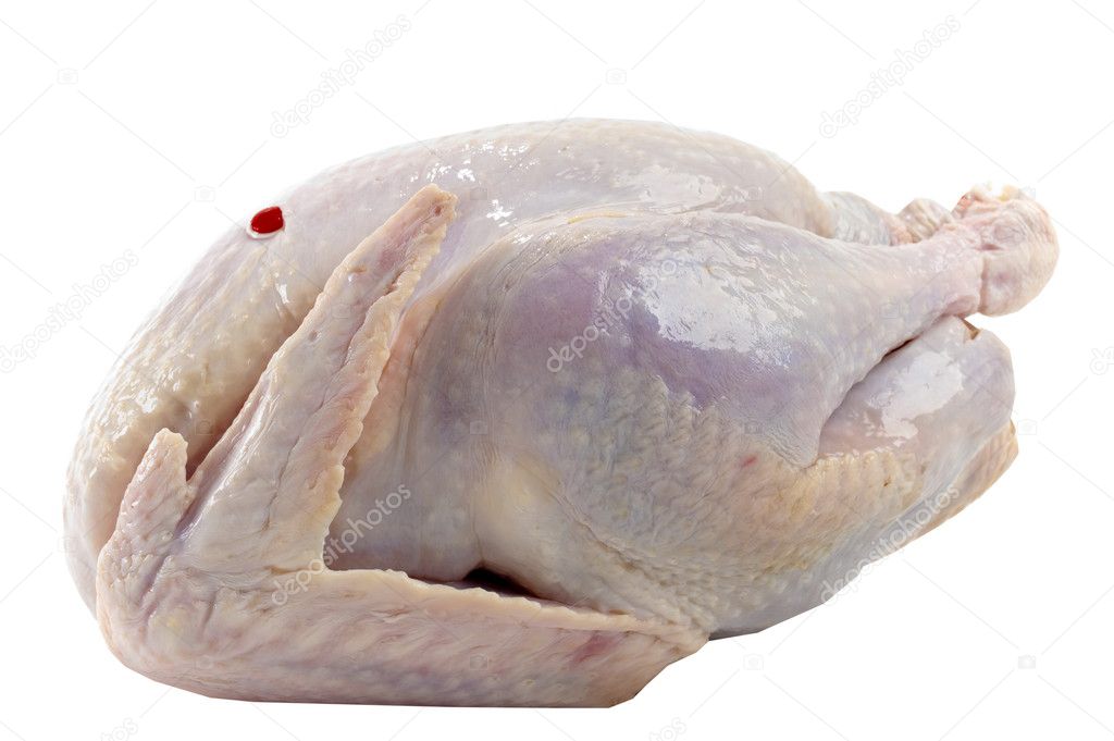 Raw Turkey — Stock Photo © vtupinamba #5827419