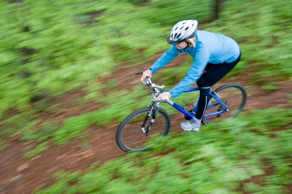 Spring bike riding - Stock Image - Everypixel