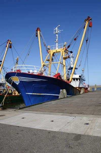 2,423 Trawl Pictures, Trawl Stock Photos & Images | Depositphotos®