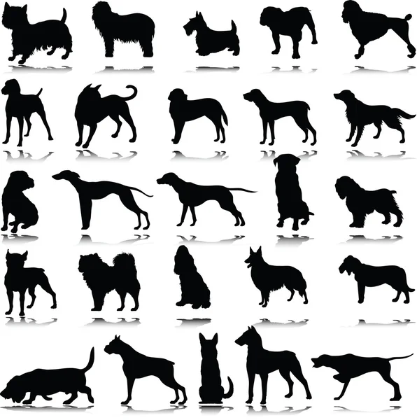 Pes obrys stock fotografie, royalty free Pes obrys obrázky ...