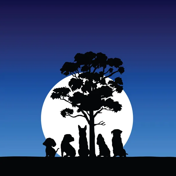 Dog under tree Stock Photos, Royalty Free Dog under tree Images ...