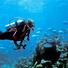 5,328 Scuba Vector Images | Depositphotos