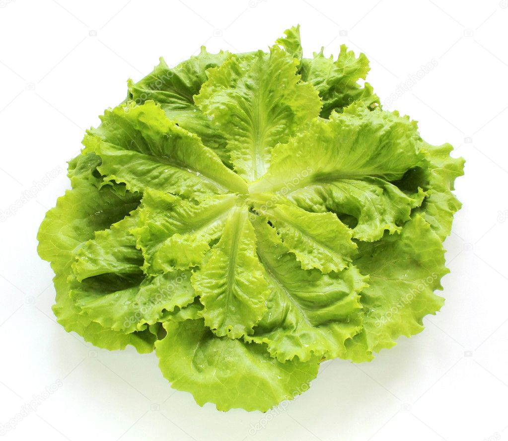 Lettuce on the plate. — Stock Photo © Angelina #5960802