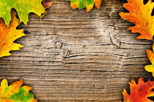 Fall backgrounds Stock Photos, Royalty Free Fall backgrounds Images ...