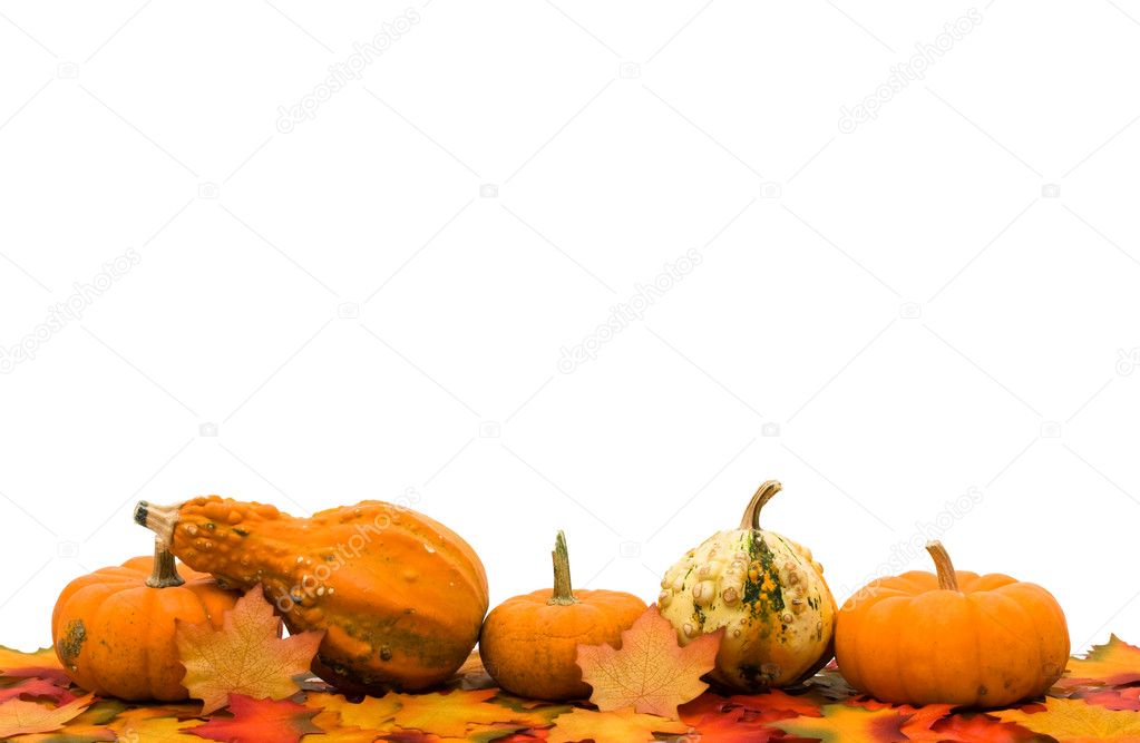 Fall Border — Stock Photo © karenr #6400360