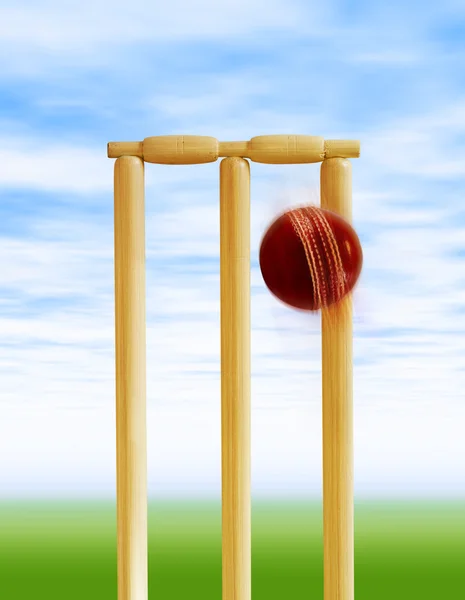 Cricket Ball Hitting Wickets — Stock Photo © albund #12360580