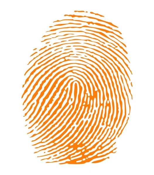 Orange fingerprint vector — Stock Vector © JoeArt #6185785