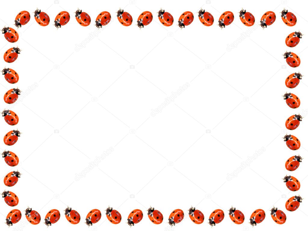 Ladybugs frame — Stock Photo © Tempusfugit1980 #6369033