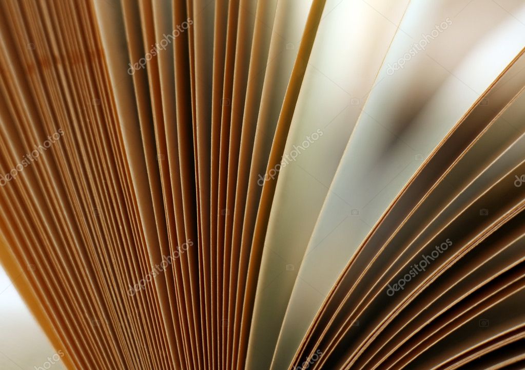 Open book — Stock Photo © friday #6482855