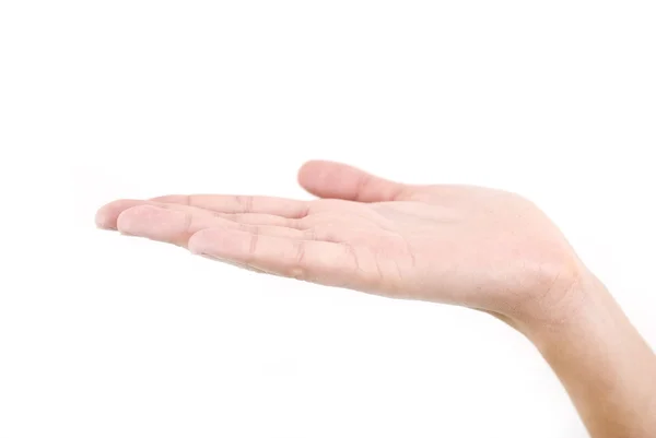 Straight palm Stock Photos, Royalty Free Straight palm Images ...