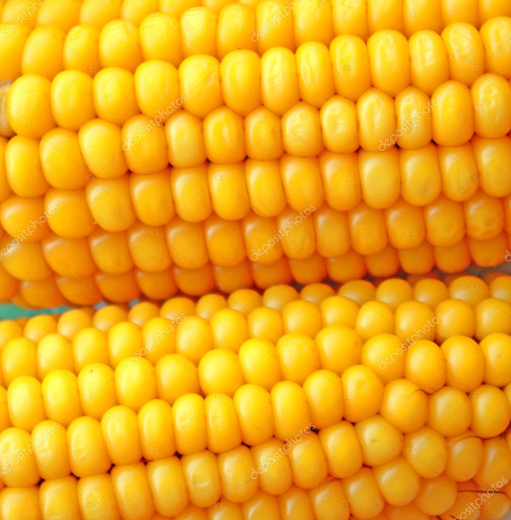 Corn background Stock Photo by ©Lessadar 6315908
