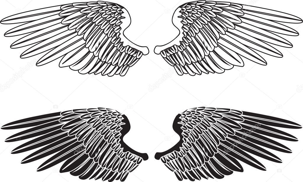 Alas vectorizadas - Imagui