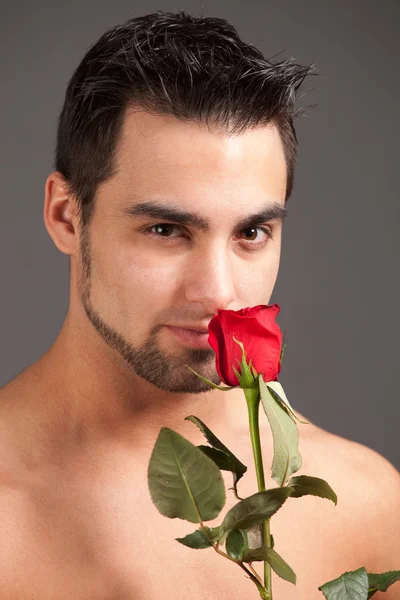 Attractive man shirtless with a single red rose. Stock Photo by ...